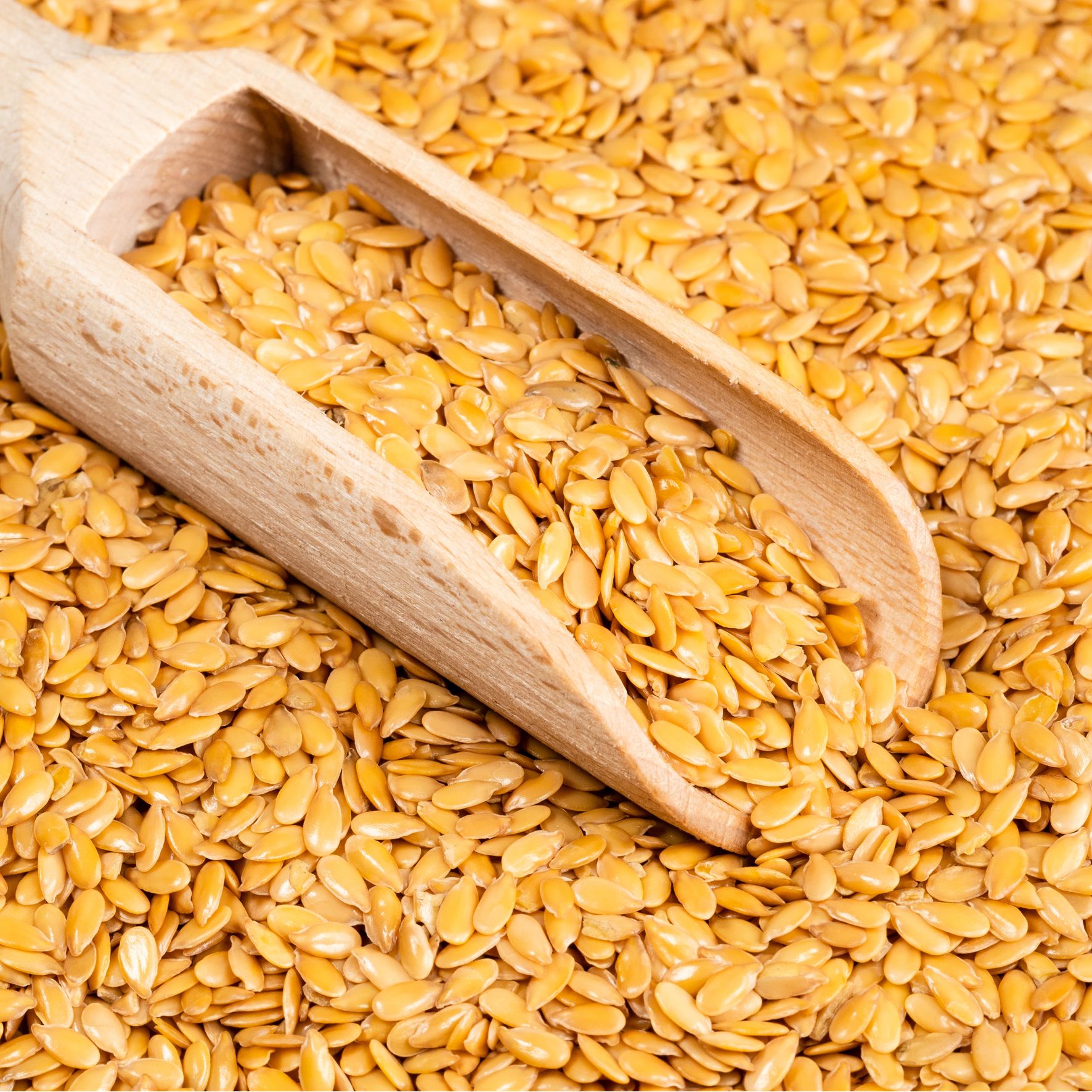 Organic Golden Flaxseed - BIO PANAX DEVELOPMENT [THAILAND]