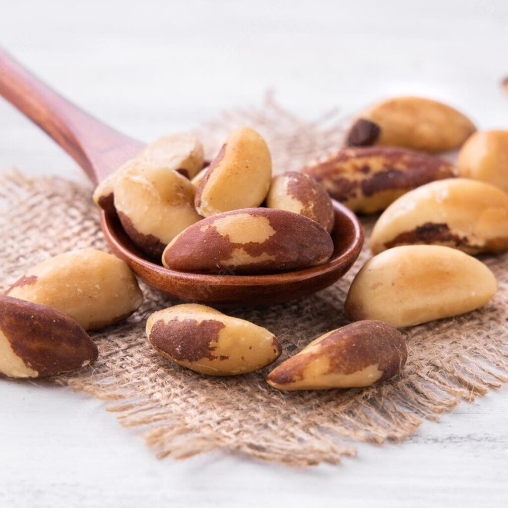 Brazil Nut - BIO PANAX DEVELOPMENT [THAILAND]